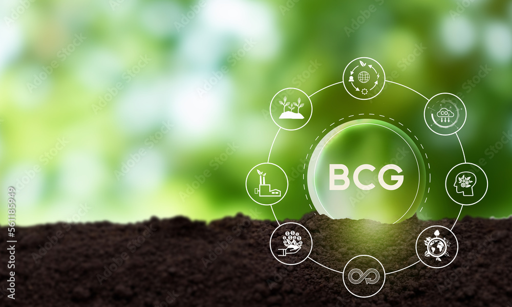 Bio Circular Green Economy Bcg Model Strategy For The Sustainability