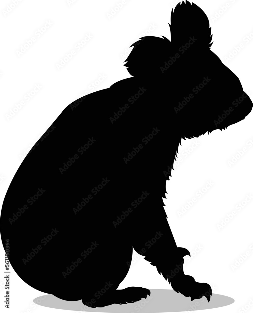 Koala Bear Silhouette Gallery