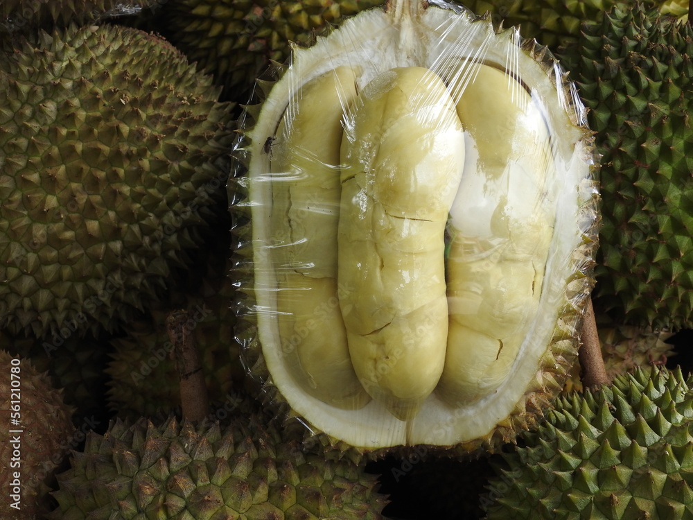 Durian, a typical fruit from Indonesia Stock Photo | Adobe Stock
