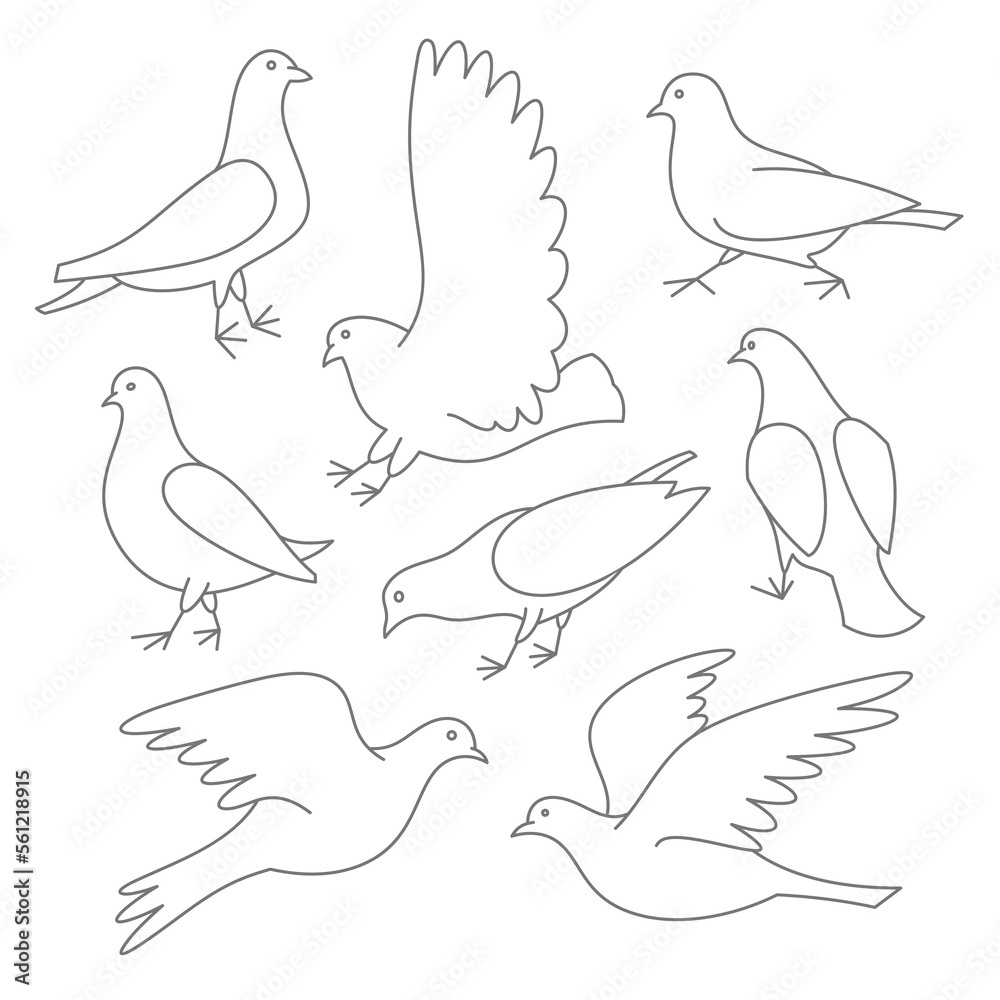 Set of linear pigeons. Collection of thin line doves. Editable shapes ...