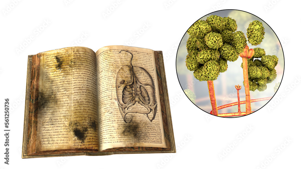 Open antique book with mold on its pages and close-up view of mold ...