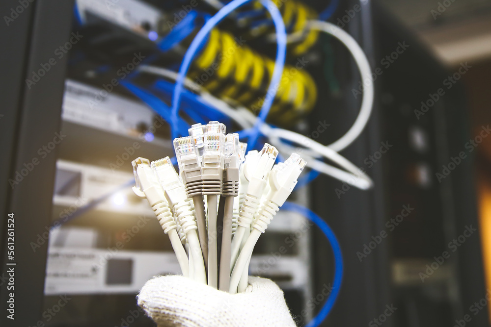 Hand choose RJ45 UTP Cat6 LAN internet network cable fiber optic and ...