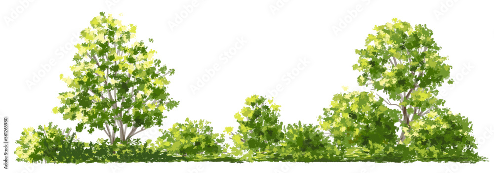Vector watercolor of grass or tree side view isolated on white ...