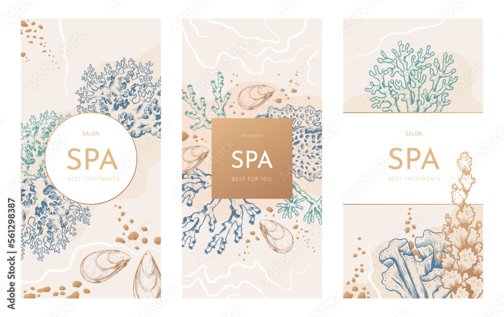 Coral sea shell spa vouchers. Beauty and organic seafood gift, luxury ...