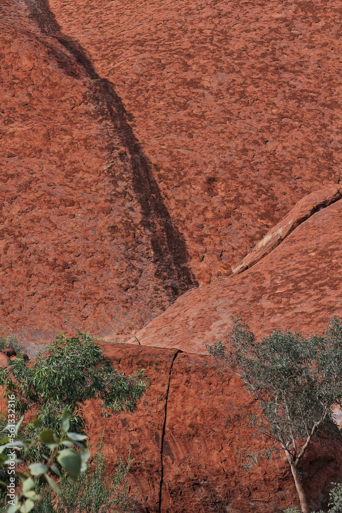 Dark algae-marked falling water channel in Uluru-Ayers Rock Mala Puta ...