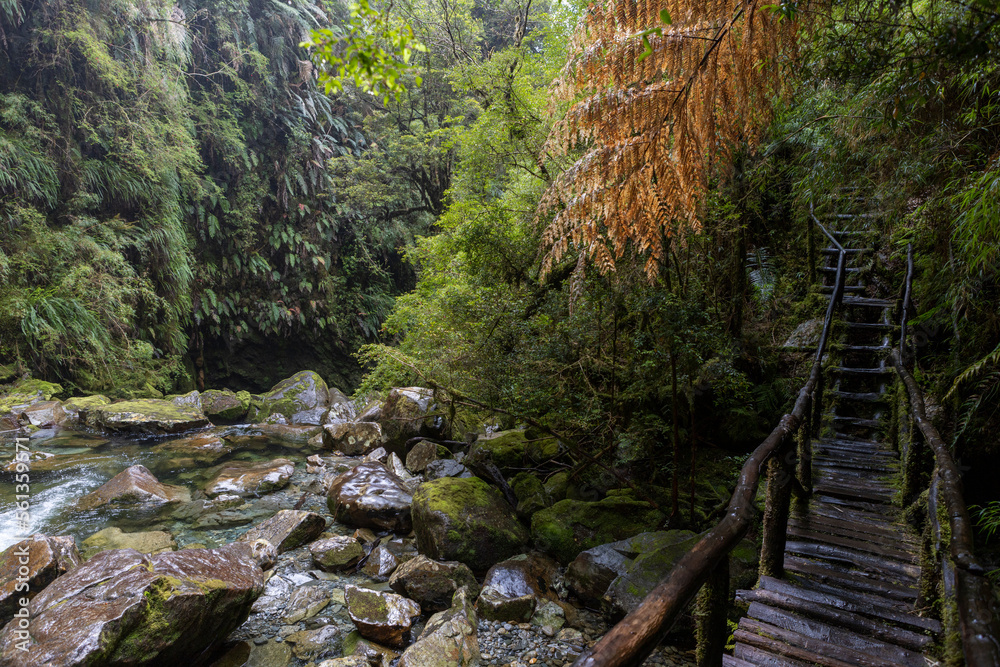 Hiking the Sendero Cascadas Escondidas in the Parque Nacional Pumalín ...