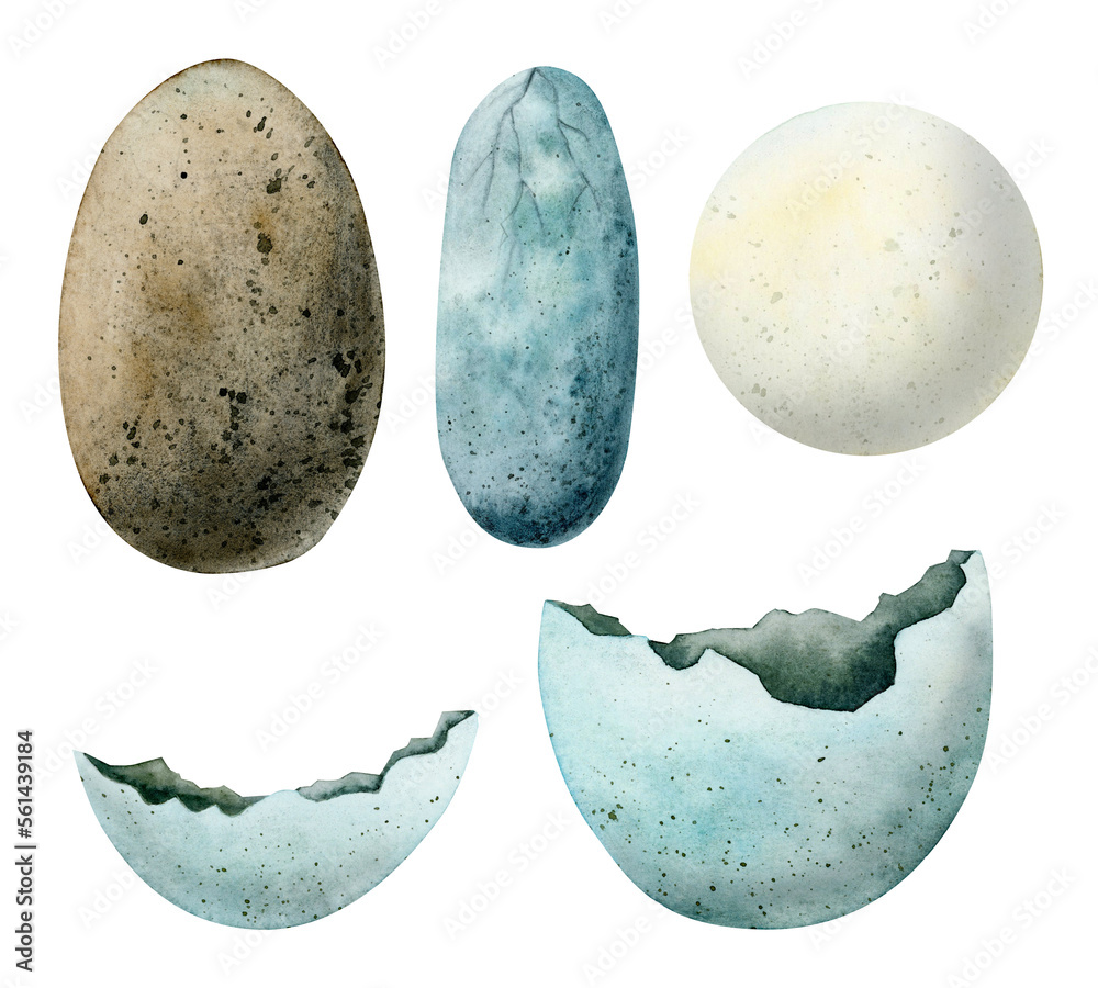 Set of different dinosaur eggs. Watercolor illustration of ...