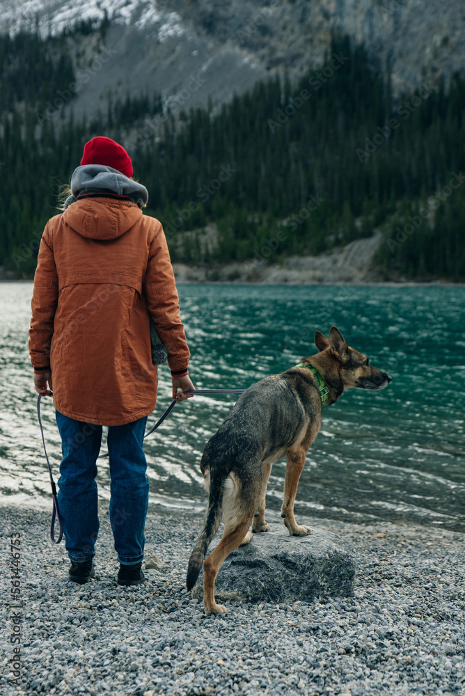 Human and a dog. female and her friend dog husky on the nature forests ...