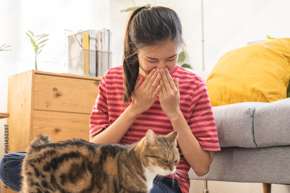 Asian young woman, girl hand in sneezing from fur allergy while playing ...