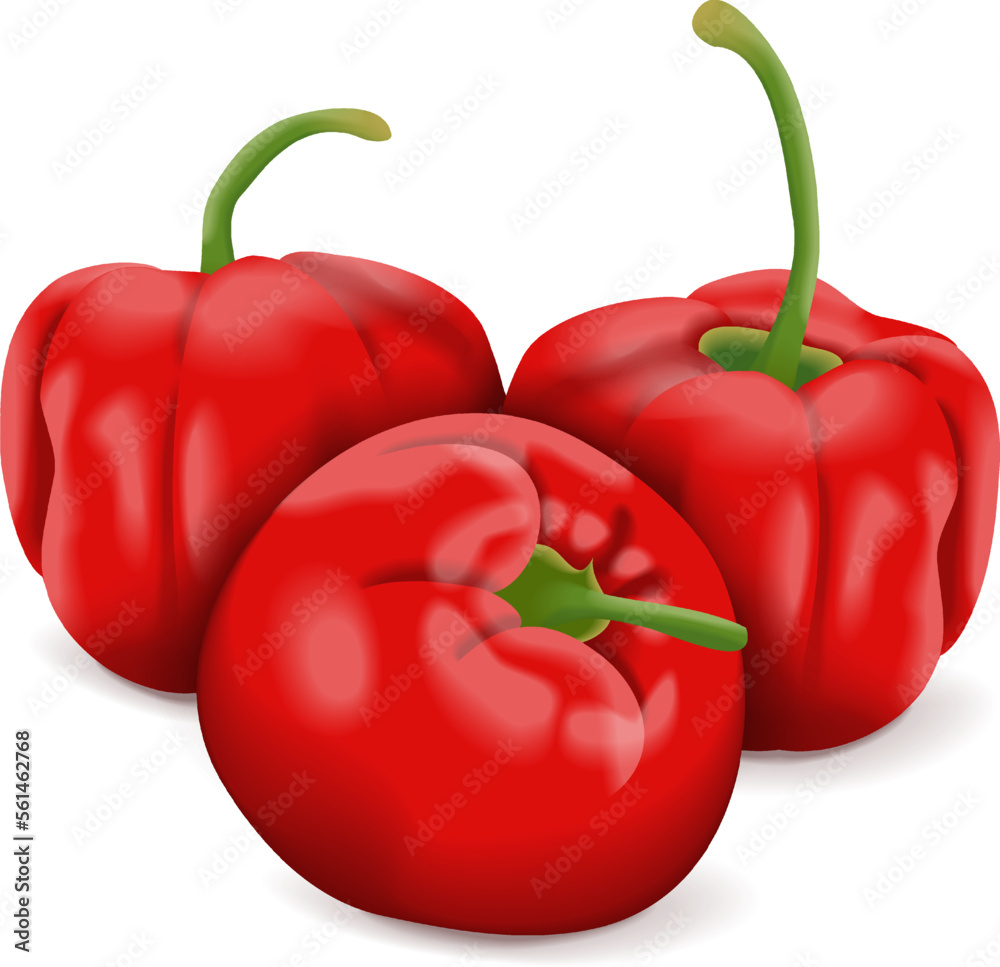 Group of Rocoto peppers. Locoto peppers. Rocote peppers. Manzano ...