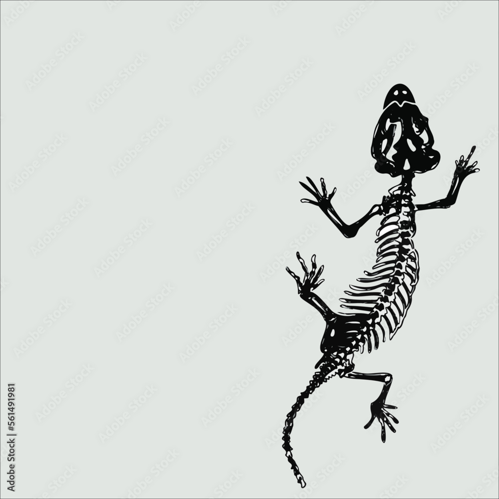 Illustration graphic image of skeleton lizard in blank template. Stock ...