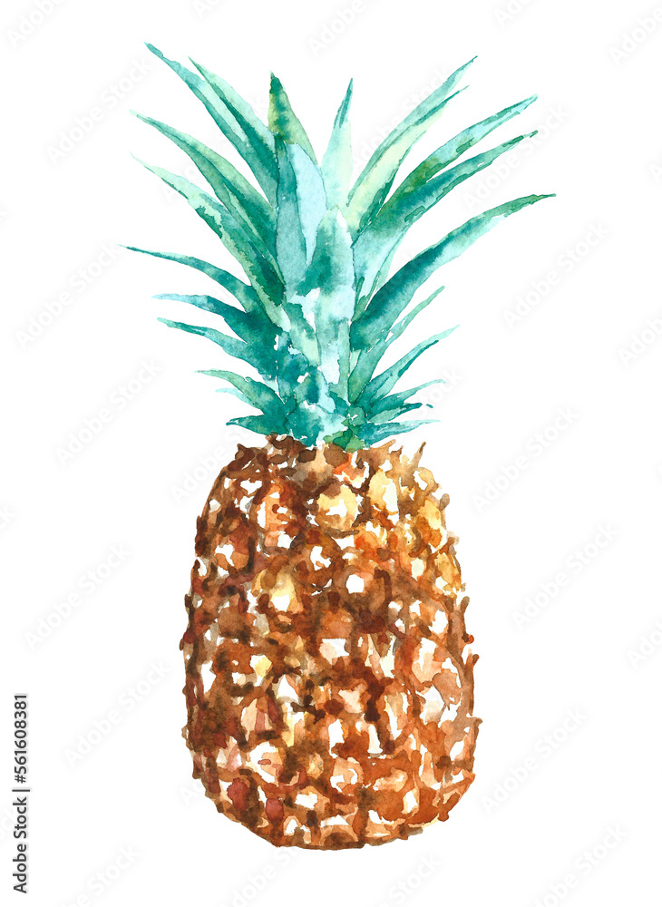 Watercolor pineapple illustration. Tropical pineapple clipart set ...