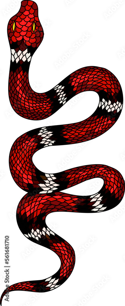 red snake vector.Lampropeltis triangulum vector.Sticker and hand drawn ...