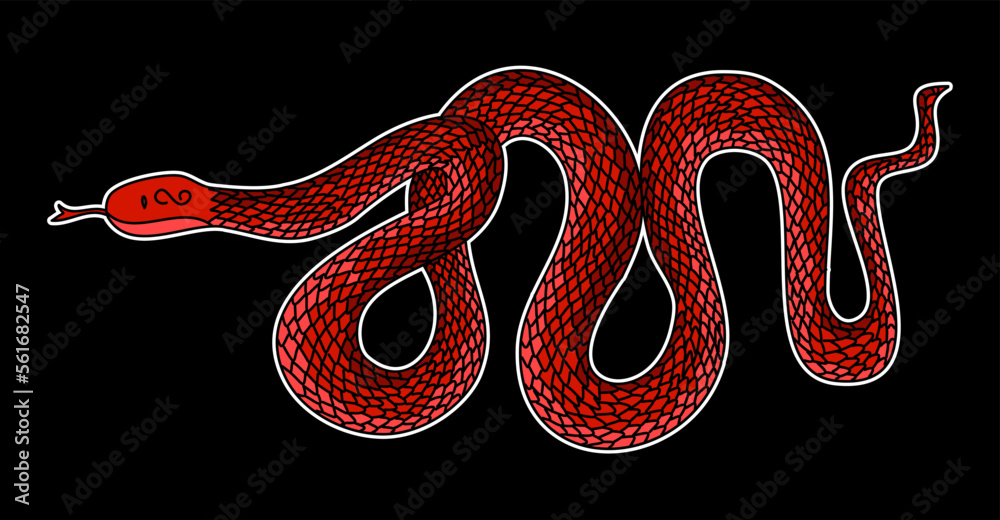 red snake vector.Lampropeltis triangulum vector.Sticker and hand drawn ...