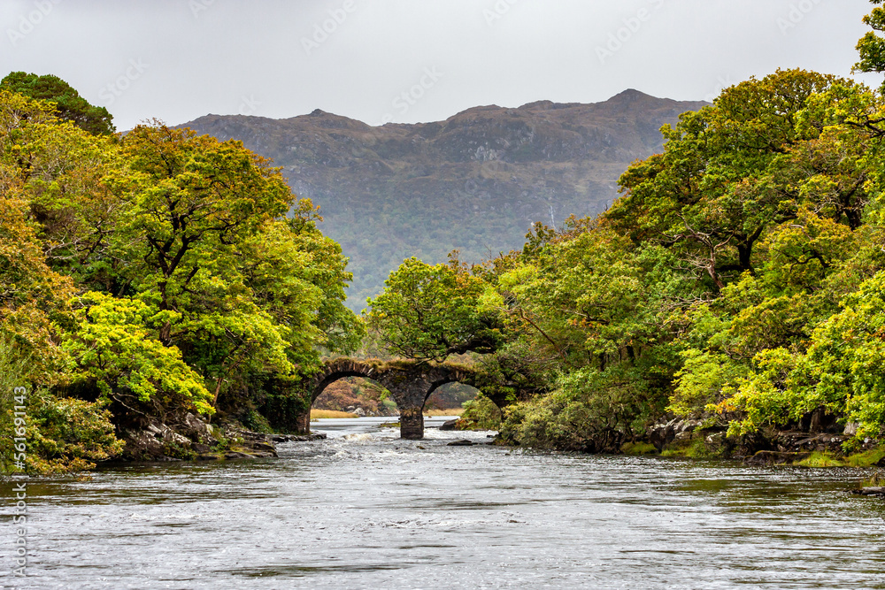 Photo & Art Print Old weir bridge of Killarney, peteleclerc