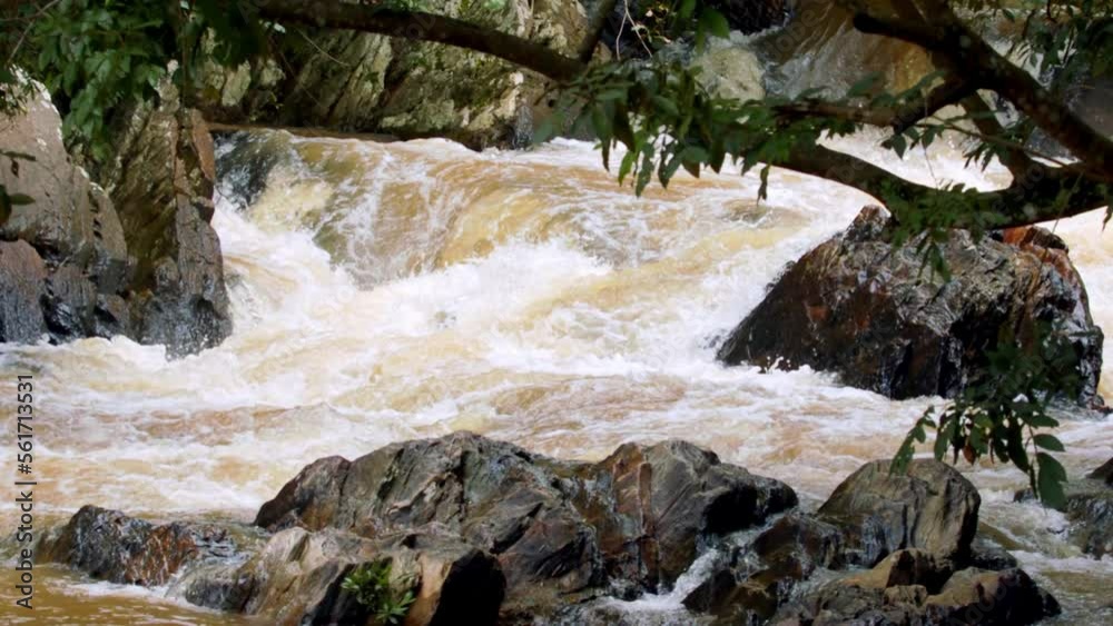 A flooded tributary in the Amazon rainforest after a rain during a ...