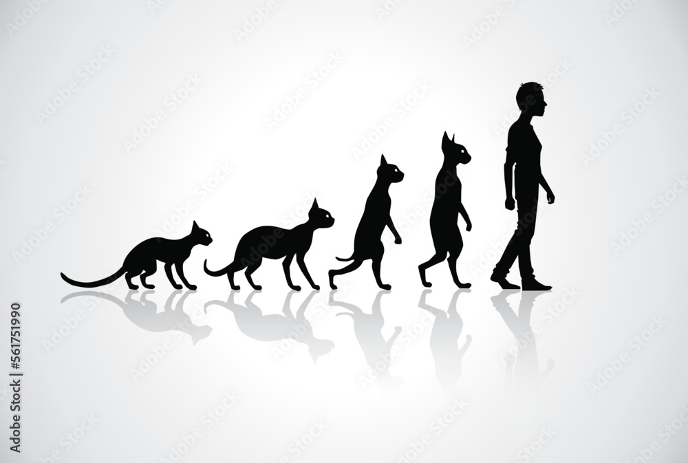 funny evolution from cat to human Stock Vector | Adobe Stock