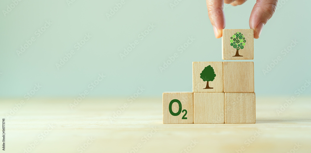 Mechanical trees for capturing carbon dioxide, carbon sequestration ...