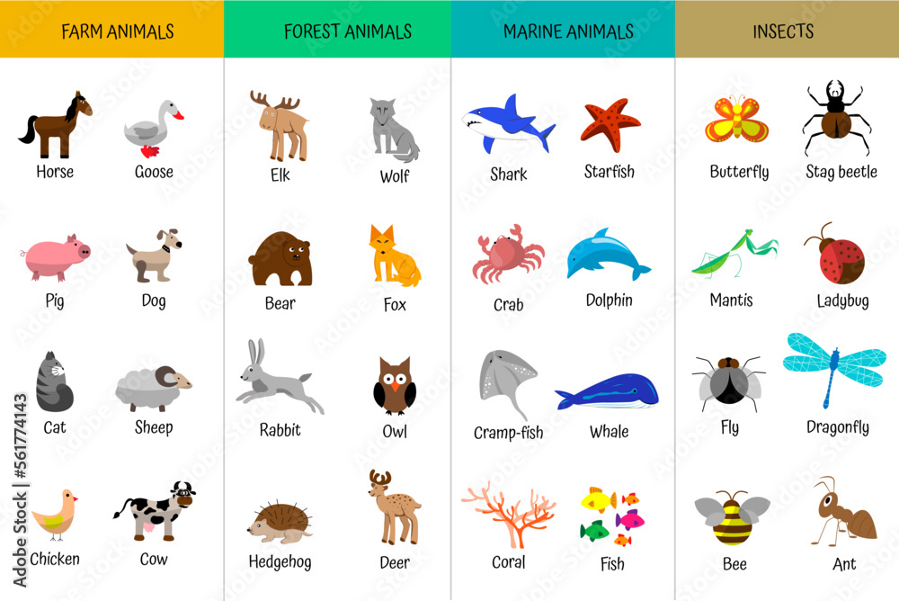 Basic animal groups and biological educational zoology table. Education ...