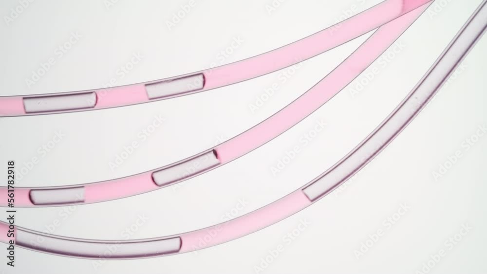 Shot of pink transparent liquid is flowing in transparent lab ...