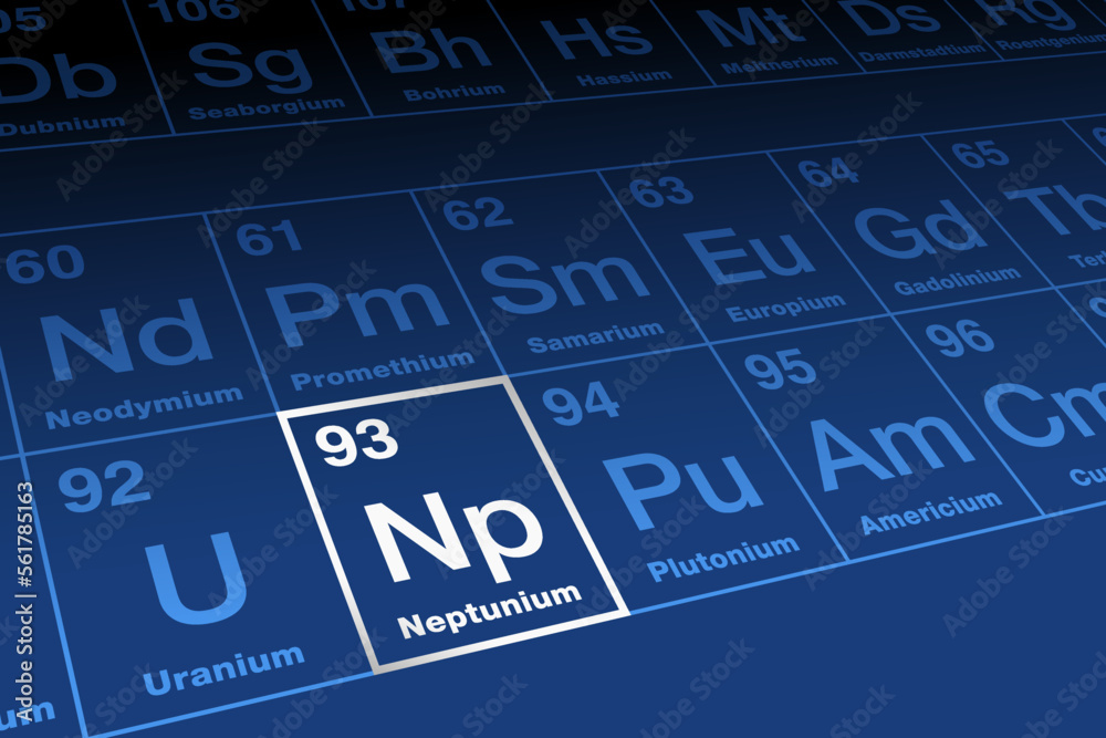 Neptunium on periodic table of the elements. Radioactive metallic ...