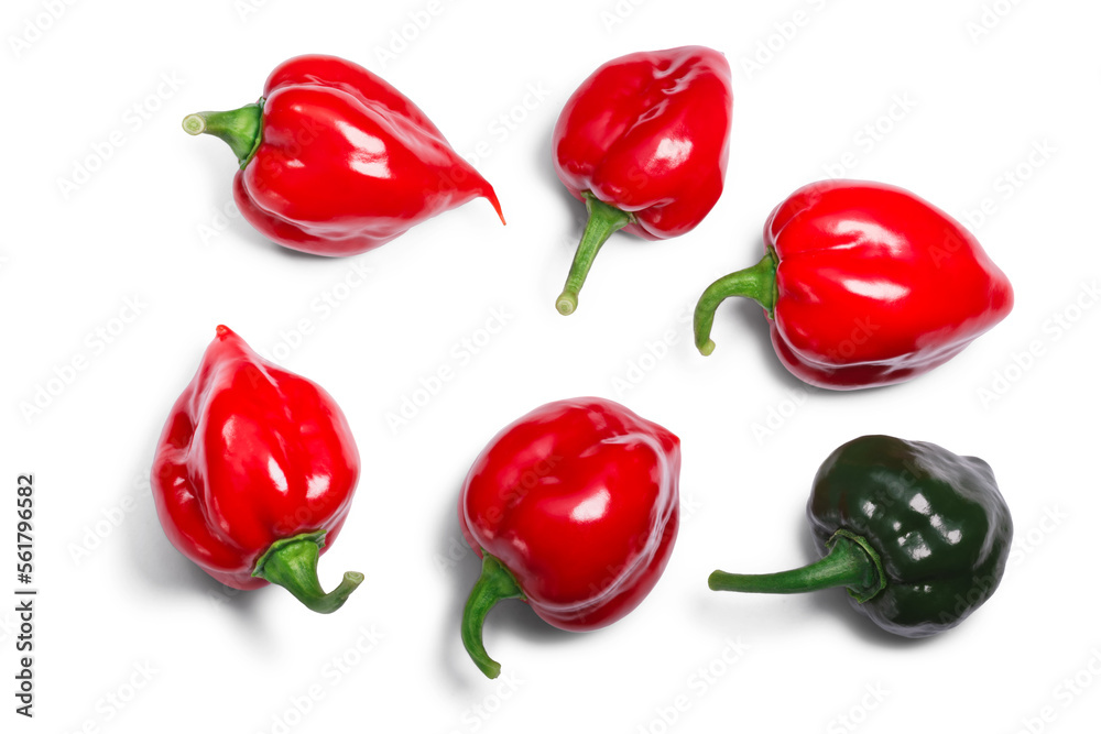 Poster Habanero peppers (Capsicum chinense), top view isolated png ...