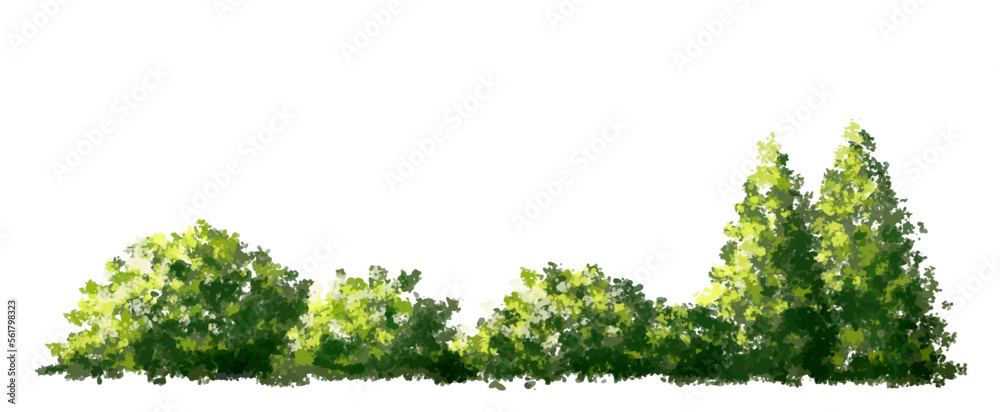 Vector watercolor of tree side view isolated on white background for ...