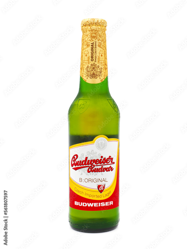 ROME, ITALY - JANUARY 16, 2023. Bottle of Budweiser beer isolated on ...