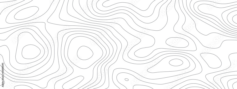 Abstract white topography background. Topographic contours map ...