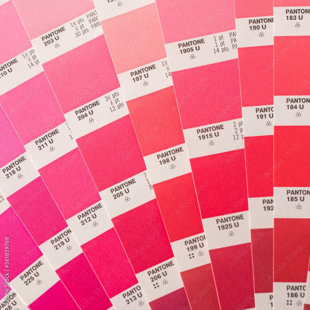 PANTONE color palette with shades of Viva Magenta trendy colors. Color ...