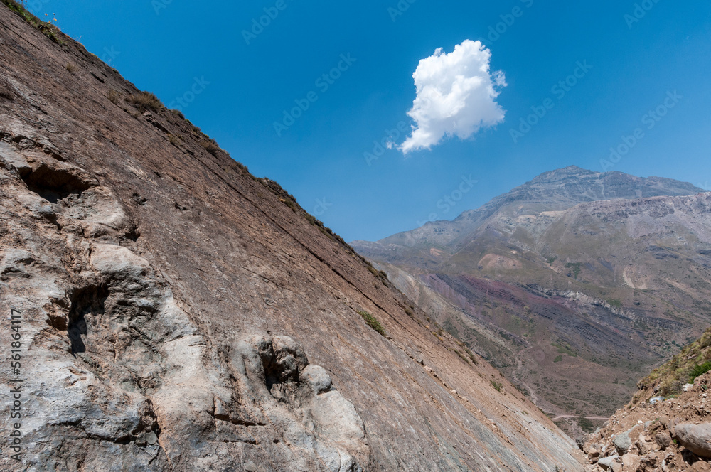 huellas de dinosaurios, huellas, rocas, con textura, corteza ...