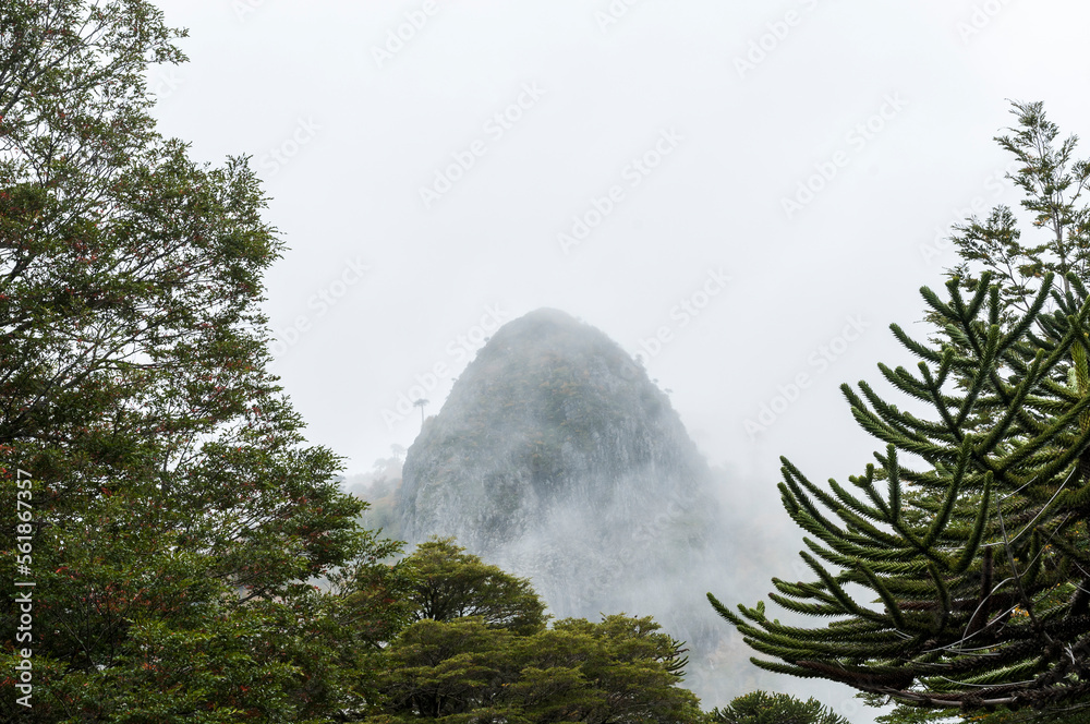 de invierno, nieve, árbol, paisaje, cielo, naturaleza, catarro, bosque ...