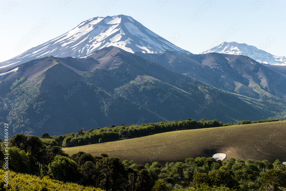 volcanes de chile, sur de chile, araucarias, paisaje, naturaleza ...
