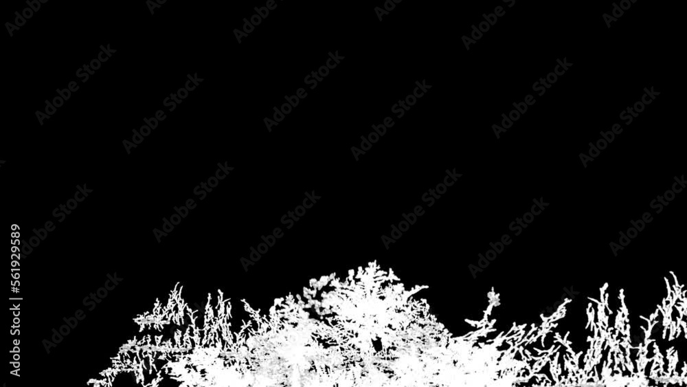 snowfall overlay, black background - winter, slowly falling snow effect ...
