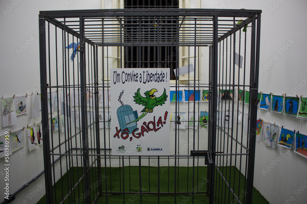 Exposição de pássaros no Museu Náutico - ILHABELA, SP, BRAZIL ...