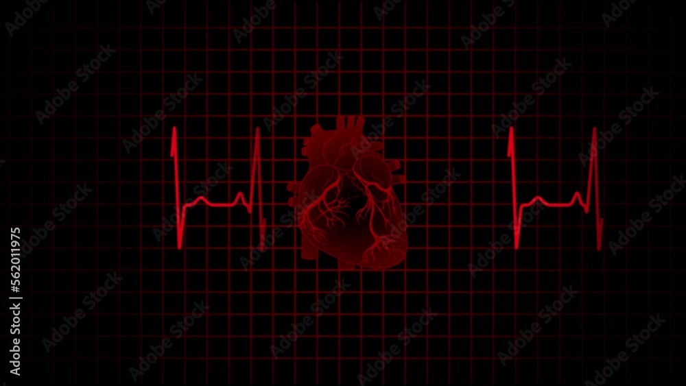 Heart Rhythm Background 4K Heartbeat monitor EKG line monitor shows ...