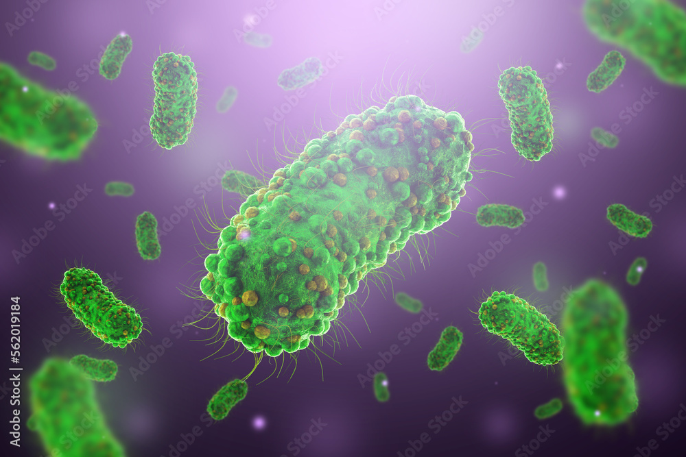 Concept infectious agents, bacteria, bacilli, E. coli, part of the gut ...