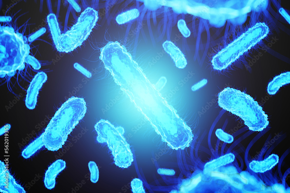 Concept infectious agents, bacteria, bacilli, E. coli, part of the gut ...