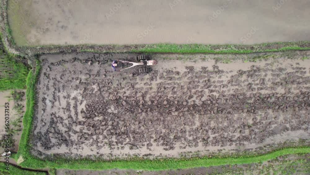 Man plowing last rows at flooded harvested rice field, top-down aerial ...