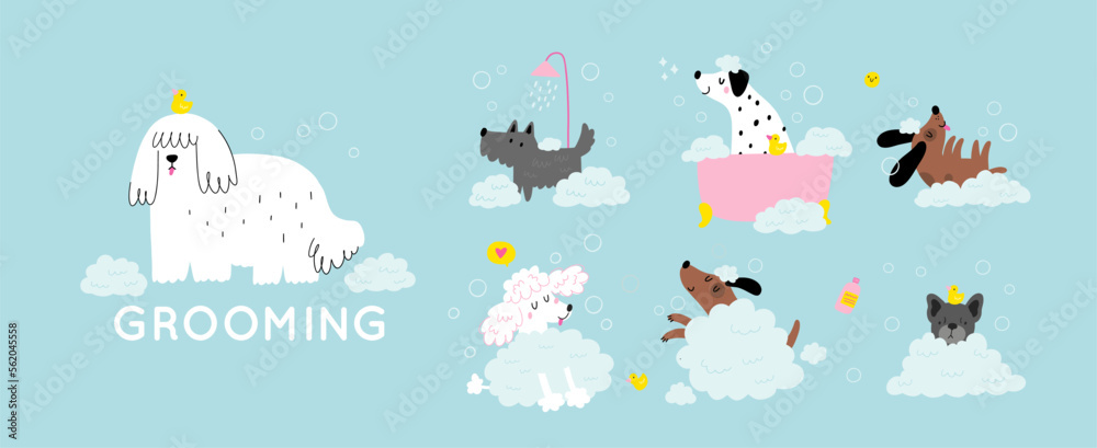 Cute cartoon dog Happy Grooming. Pet washing service flat vector ...