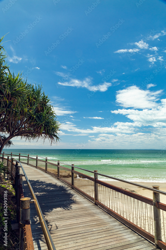 Timber boardwalk and pandanus palm trees by the sea at Caloundra, Queensland. Photos | Adobe Stock
