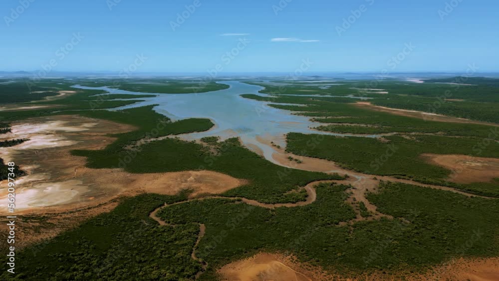 Gum tree jungle rainforest river in Queensland, Australia. Scenic ...