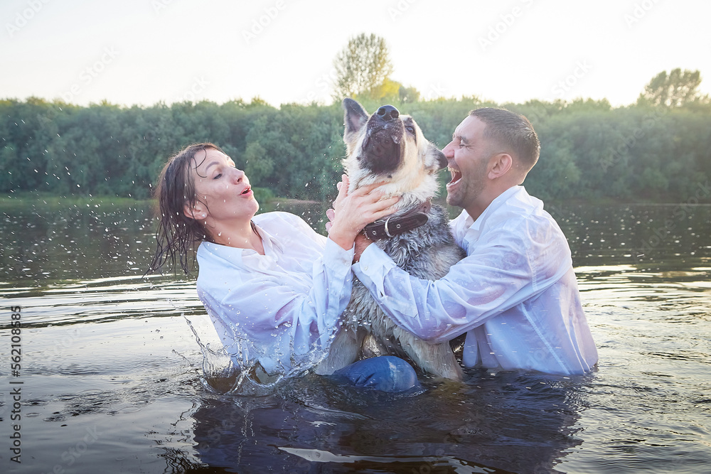 Beautiful adult couple has fun with bug dog shephers in nature in water ...