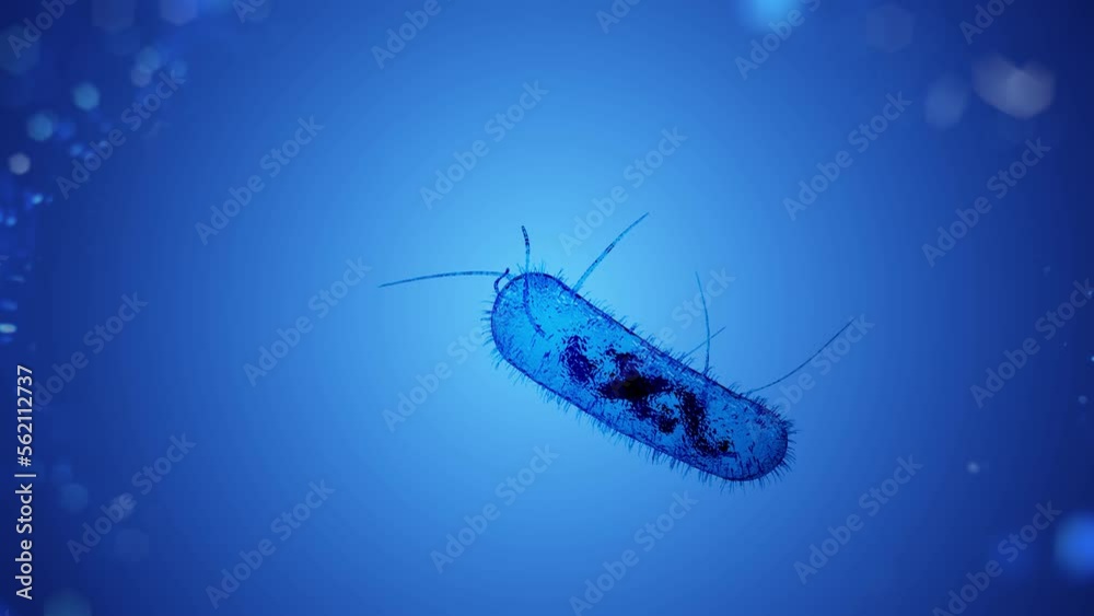 Bacterial outbreak, bacterial infection, bacteria cell, Scientific ...