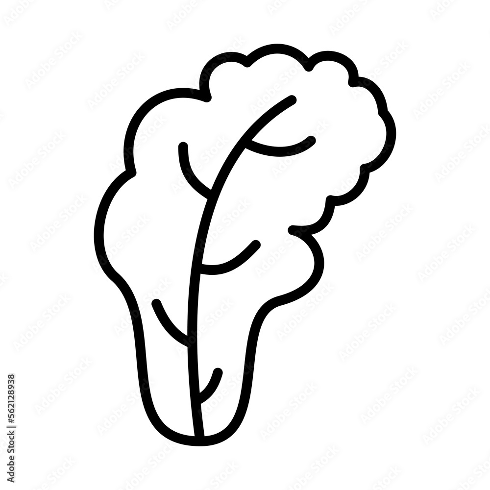 Lettuce Template