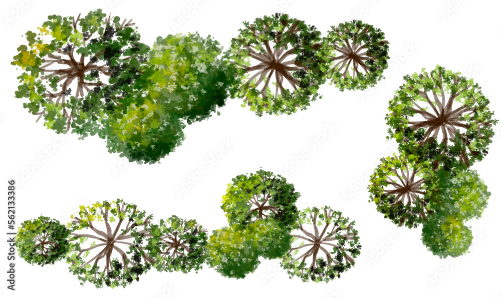 Vector watercolor of green tree top view isolated on white background ...