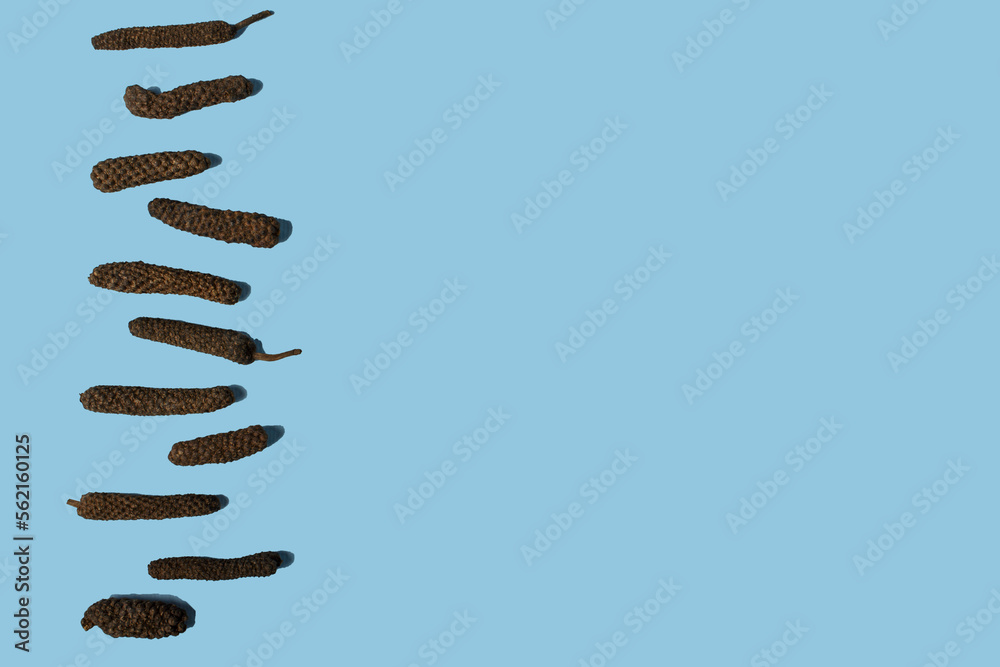 Dry Indian long pepper . Piper Longum ,Piper retrofractum, Pippali ...