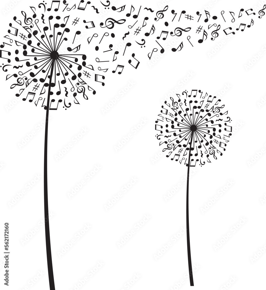 Dandelion with music notes on white background Stock Vector | Adobe Stock