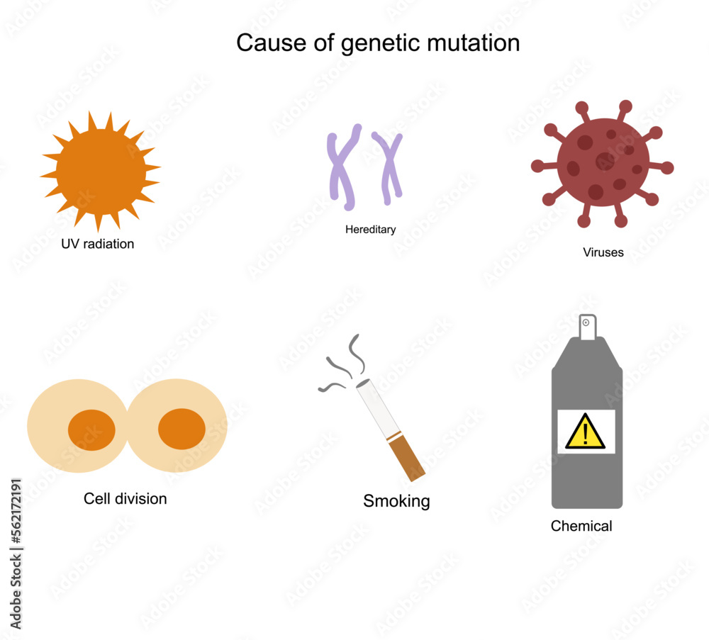 The example causes or risk factor affect to a genetic mutation or ...