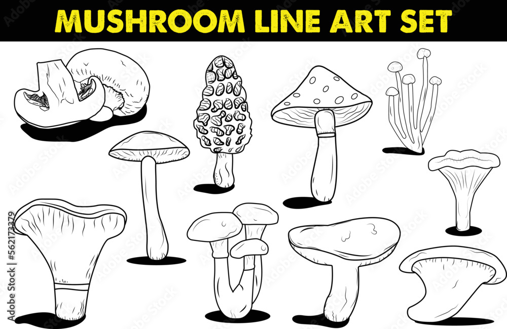 mushrooms line art set mashroom line art vactor Stock Vector | Adobe Stock